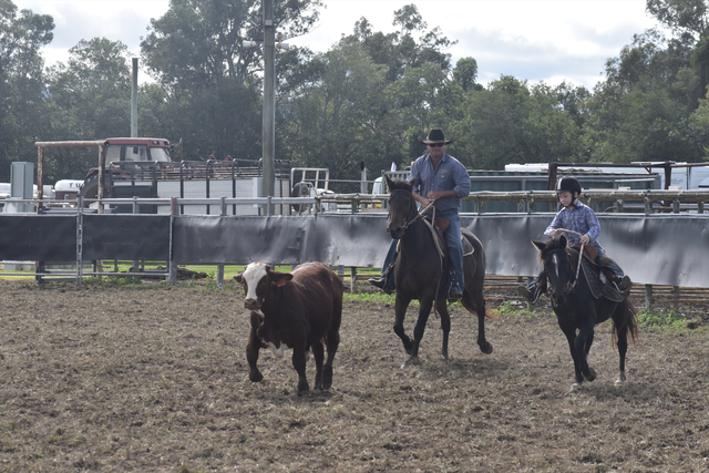 Kilcoy Campdraft rides into action | The Lockyer & Somerset Independent