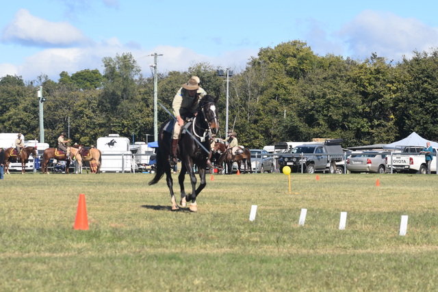 Laidley hosts national Light Horse cup | The Lockyer & Somerset Independent