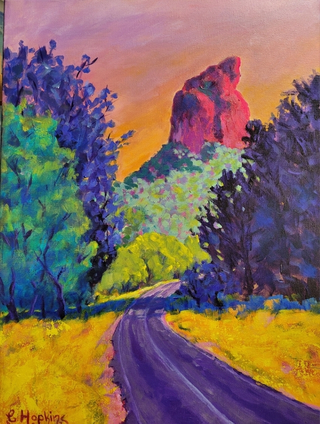 Hopkins' high key colours | The Lockyer & Somerset Independent