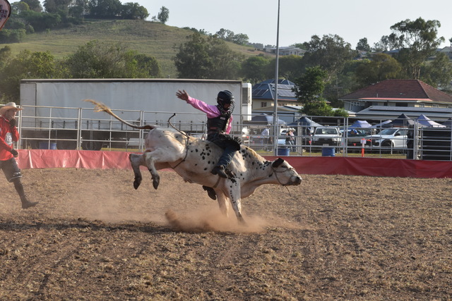 The greatest show on dirt | The Lockyer & Somerset Independent