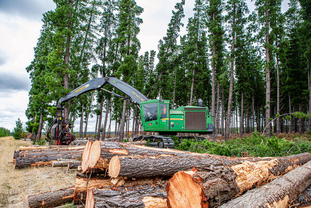 Timber plan is ‘go’ | The Lockyer & Somerset Independent