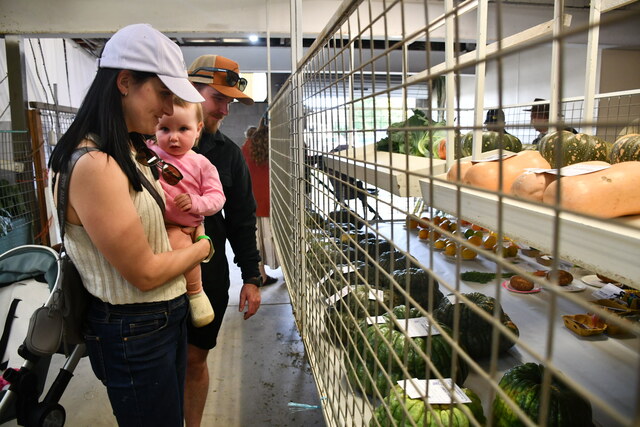 Lowood Show thrives | The Lockyer & Somerset Independent