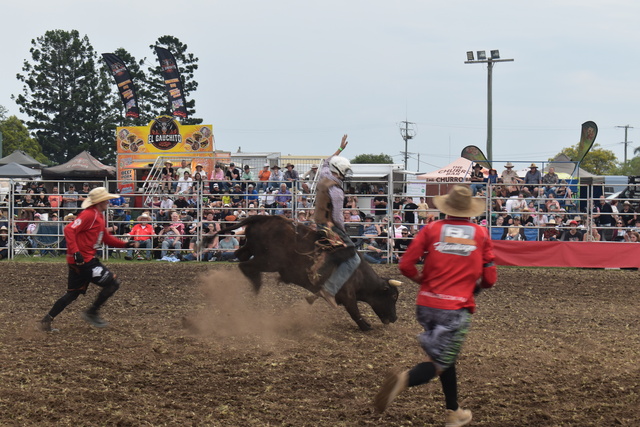 Rodeo thrill ride | The Lockyer & Somerset Independent